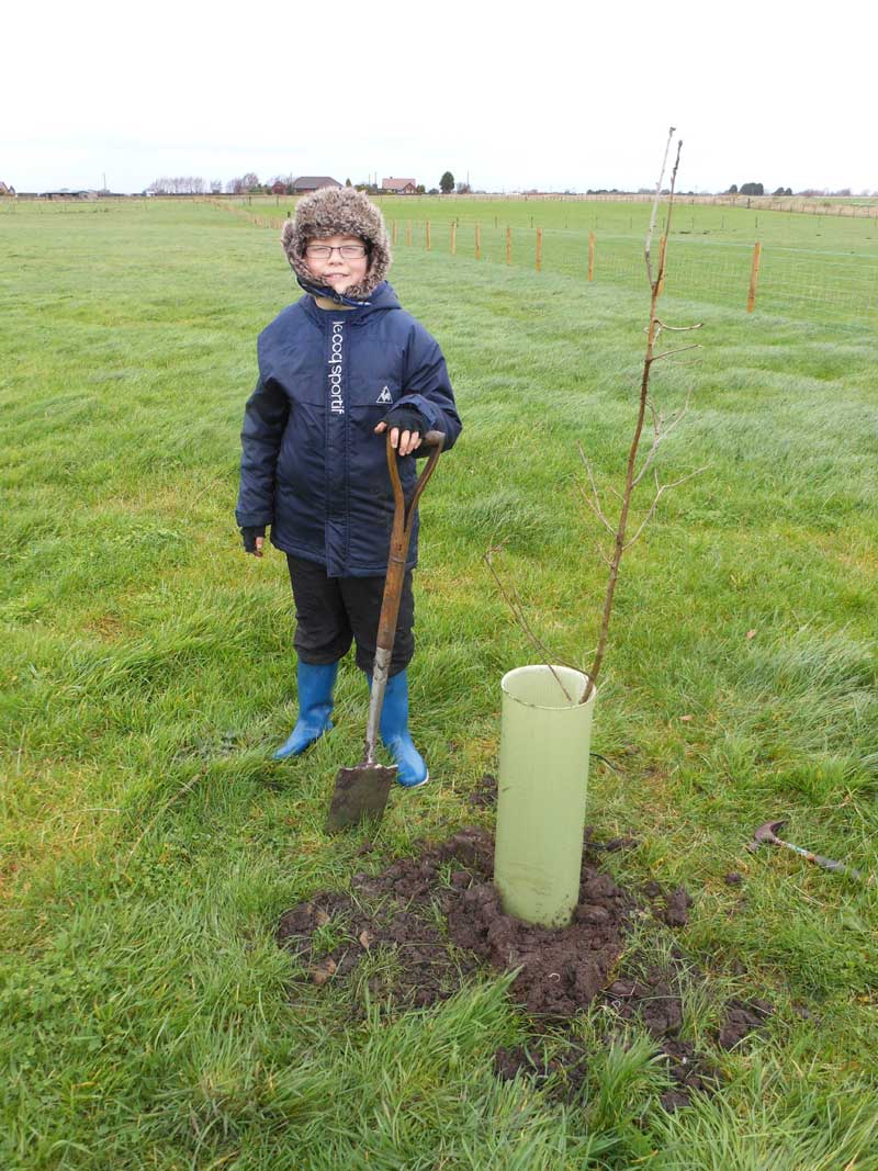 ::Three Owls Bird-Sanctuary::