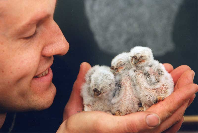 ::Three Owls Bird-Sanctuary::